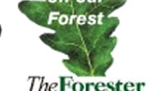 Baroness tells Lords: Don't sell our Dean | theforester.co.uk
