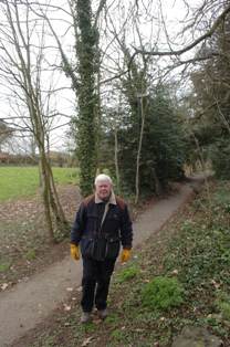 Chelsea champ in row over tree felling | theforester.co.uk