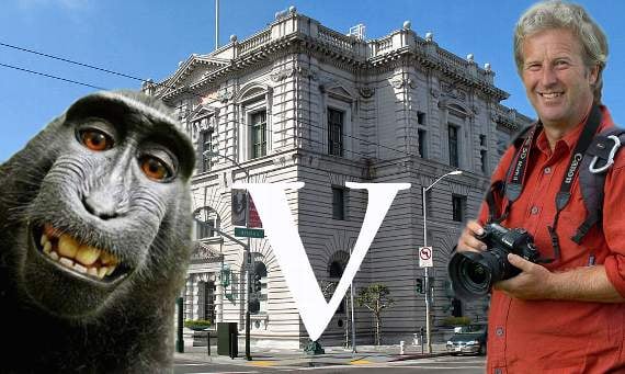 Coleford photographer in USA monkey business legal row | theforester.co.uk