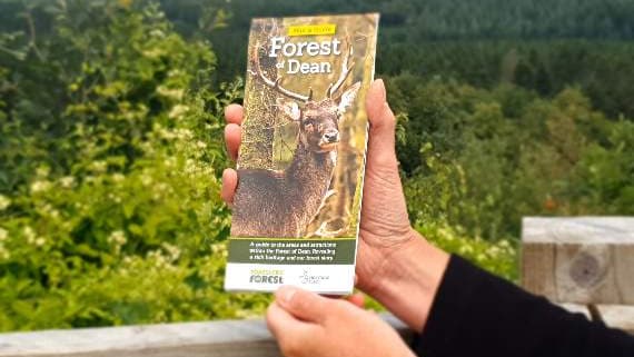 New map and guide to help explore the Forest | theforester.co.uk