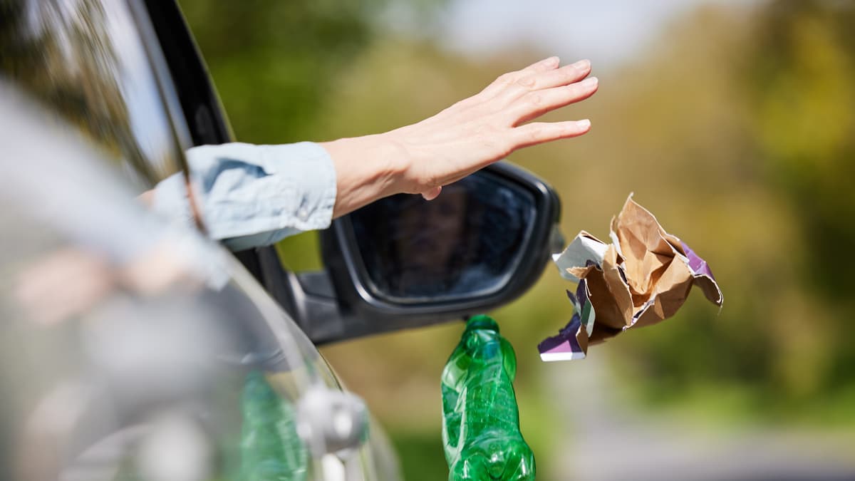 Council to issue fines for litter dropped from vehicles | theforester.co.uk
