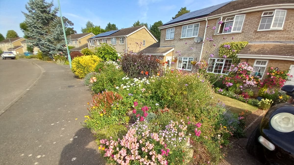 Gardeners awarded for ‘amazing’ displays for Newent in Bloom 2022 ...