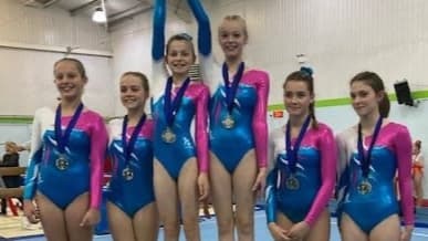 Forest of Dean gymnasts' Gloucestershire championship success ...