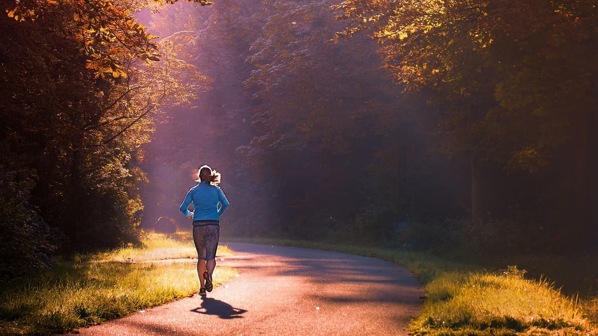 Forest of Dean parkrun hits a milestone at new year | theforester.co.uk