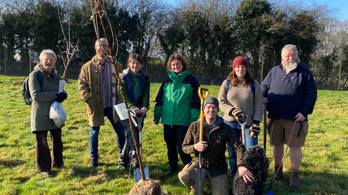So much growth in Yorkley Village Garden | theforester.co.uk