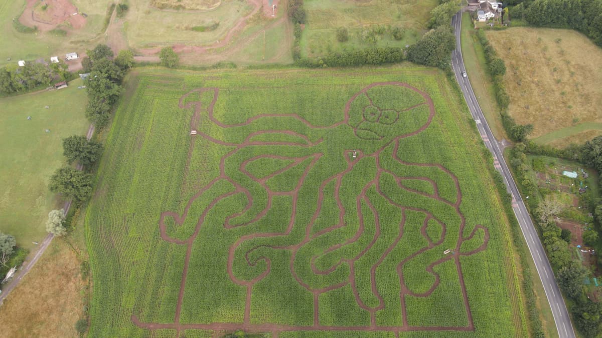 A-maze-ing octopus and coral reef crop up at Elton Giant Mazes ...