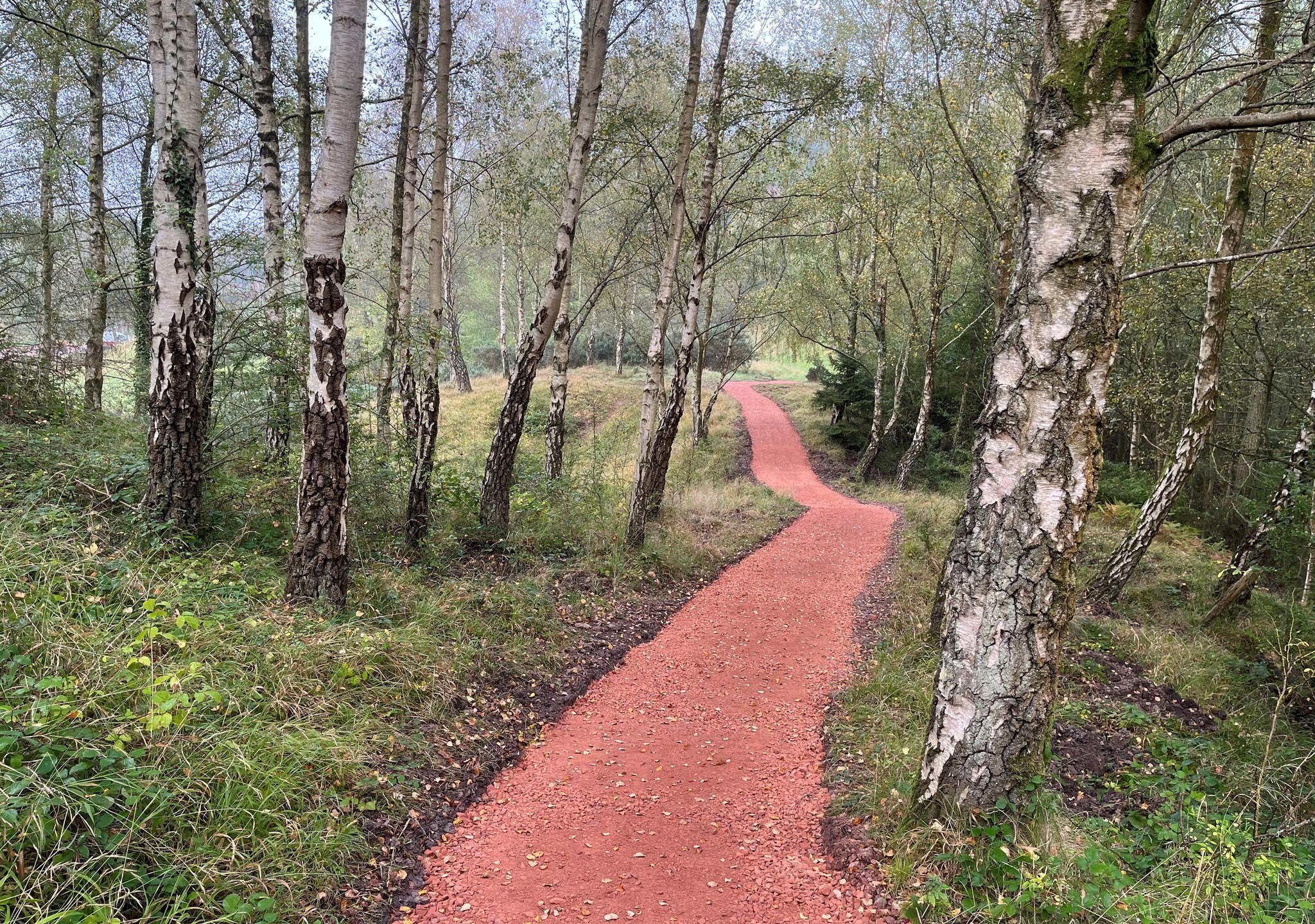 New Fancy reopens after structural works and footpaths re-laid to ...