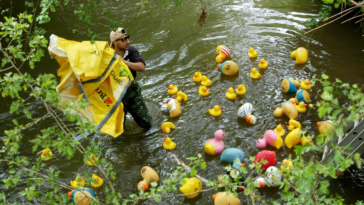 Quacking success at Dymock Duck Race | theforester.co.uk