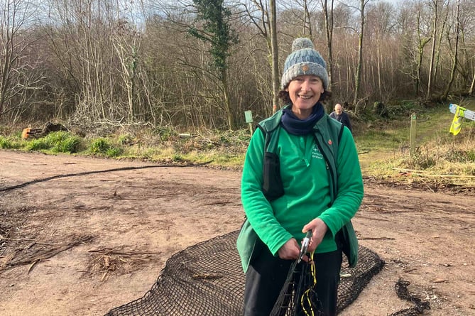 Bridging the gap for dormice in the Forest | theforester.co.uk