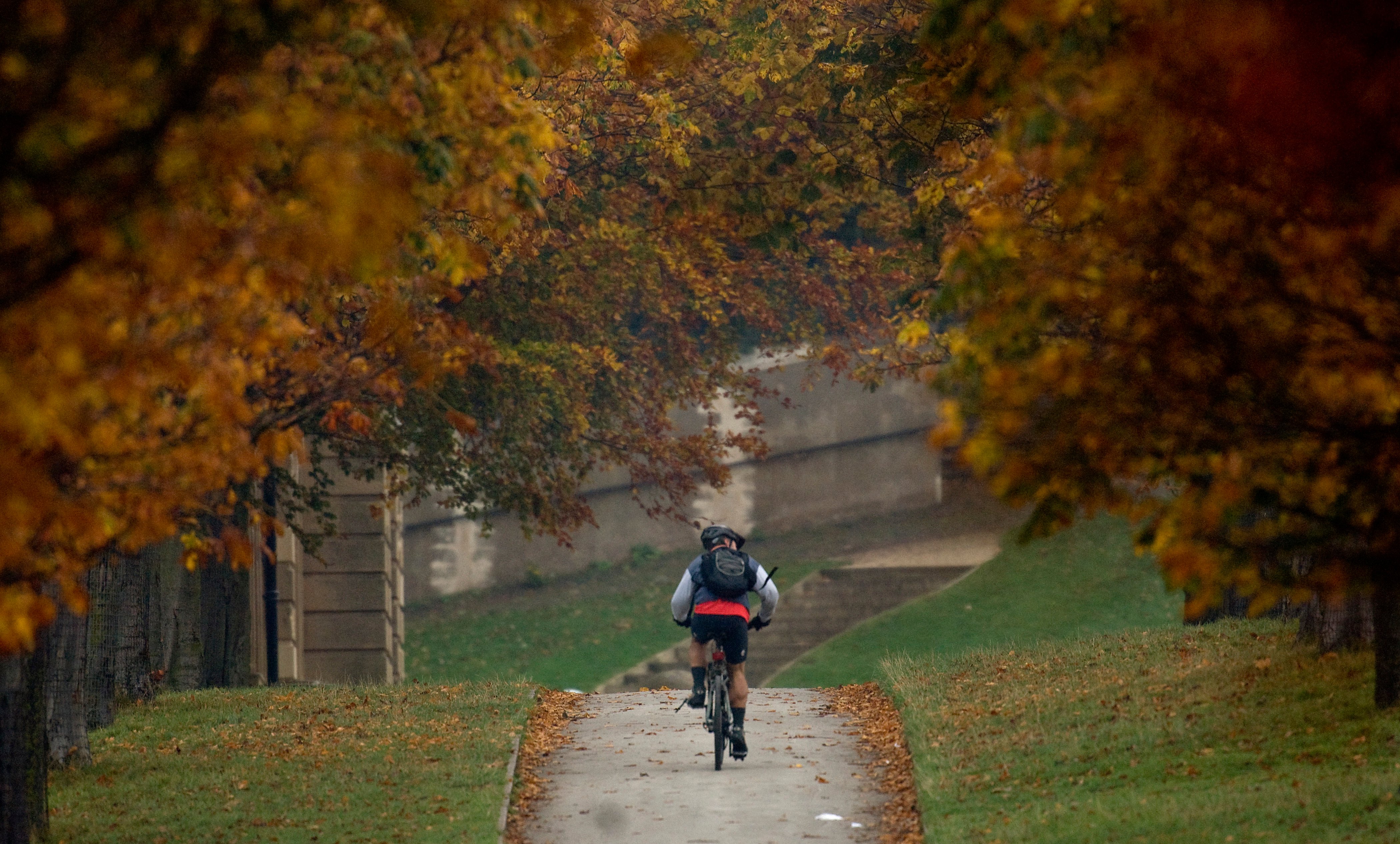 More than one in 20 people in the Forest of Dean cycling weekly ...