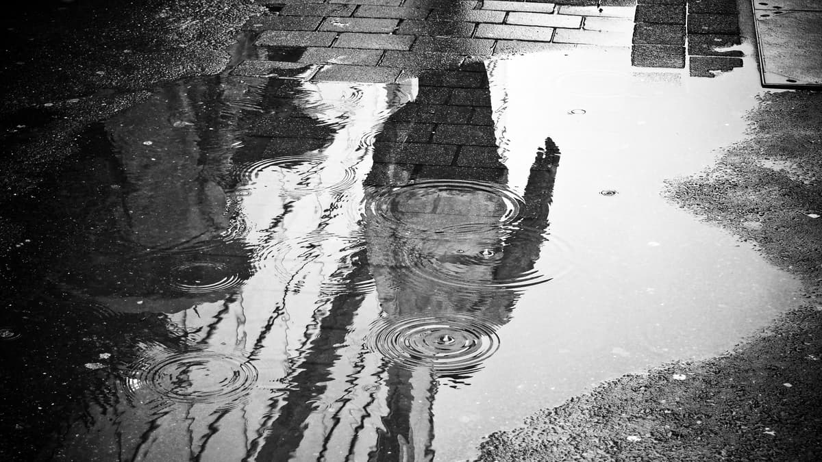 We've all done it, but driving through a puddle and soaking a ...