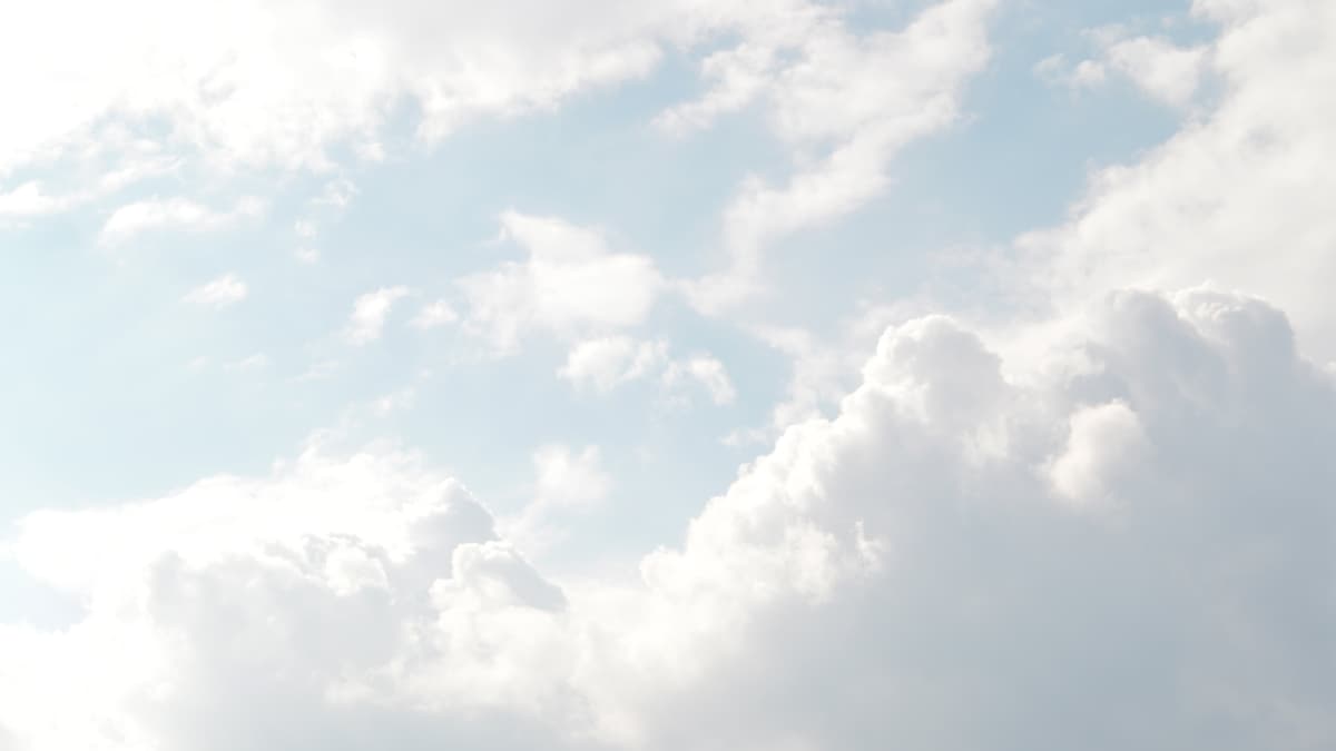 Weekly weather watch with Jonathan Powell | theforester.co.uk