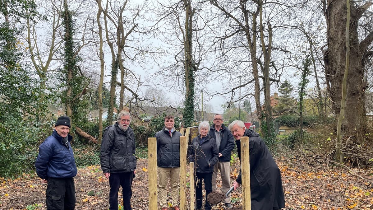 Tree planting celebrates beekeepers' anniversary | theforester.co.uk