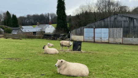 Dean Farm Trust appeals for urgent winter support | theforester.co.uk