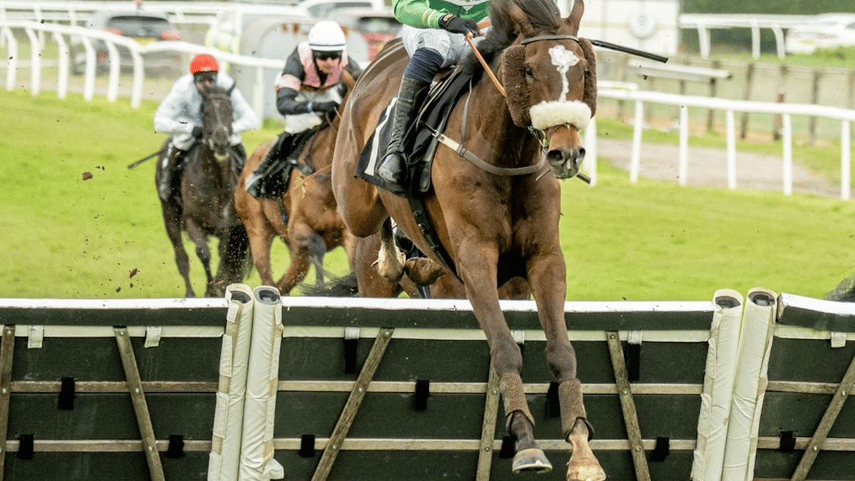 Lacey lands two more winners over jumps | theforester.co.uk