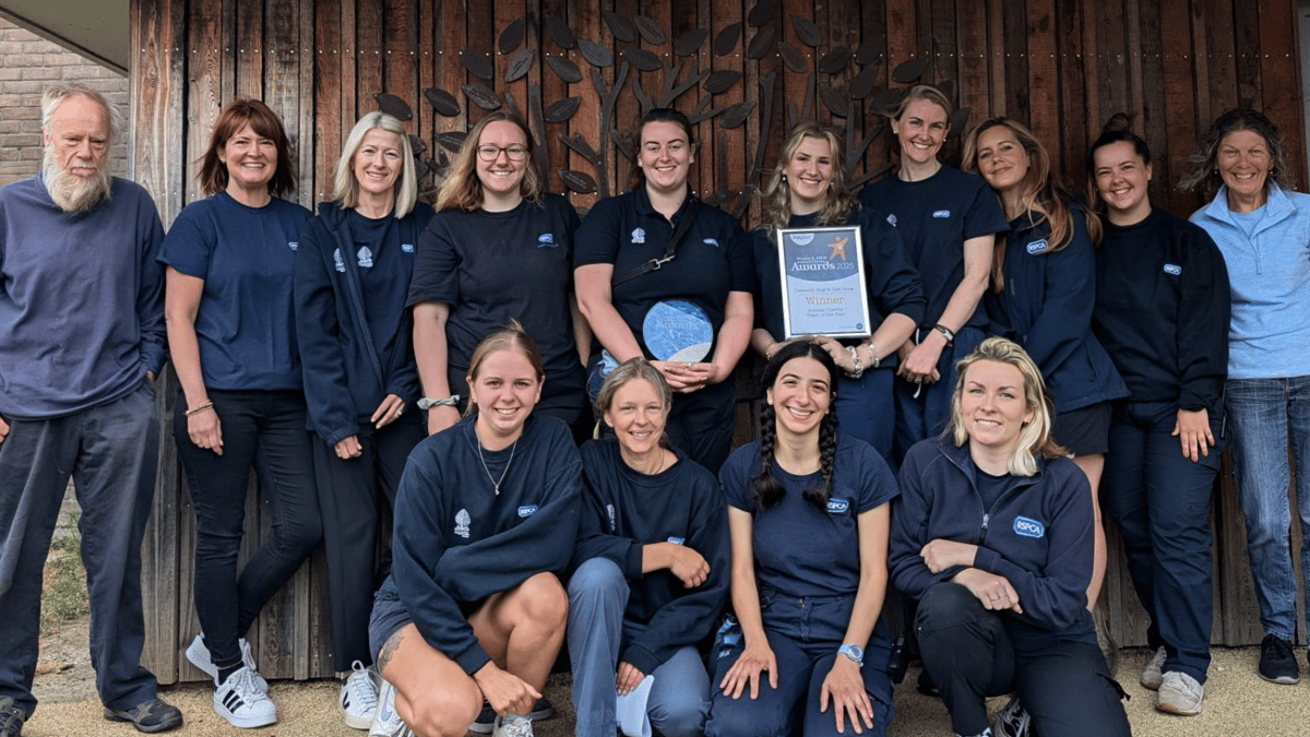 Cotswolds Dogs and Cats Home wins Animal Charity Team of the Year award ...