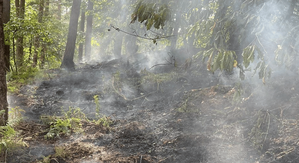 Cinderford woodland fires: Police warn of arson danger | theforester.co.uk