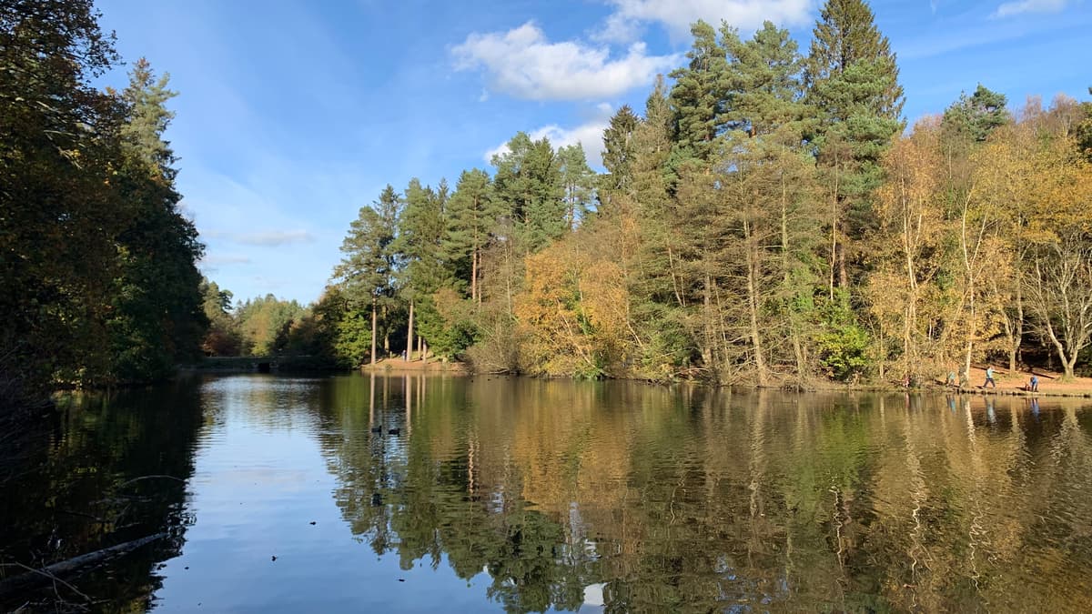 Forest of Dean Council addresses biosphere designation concerns ...