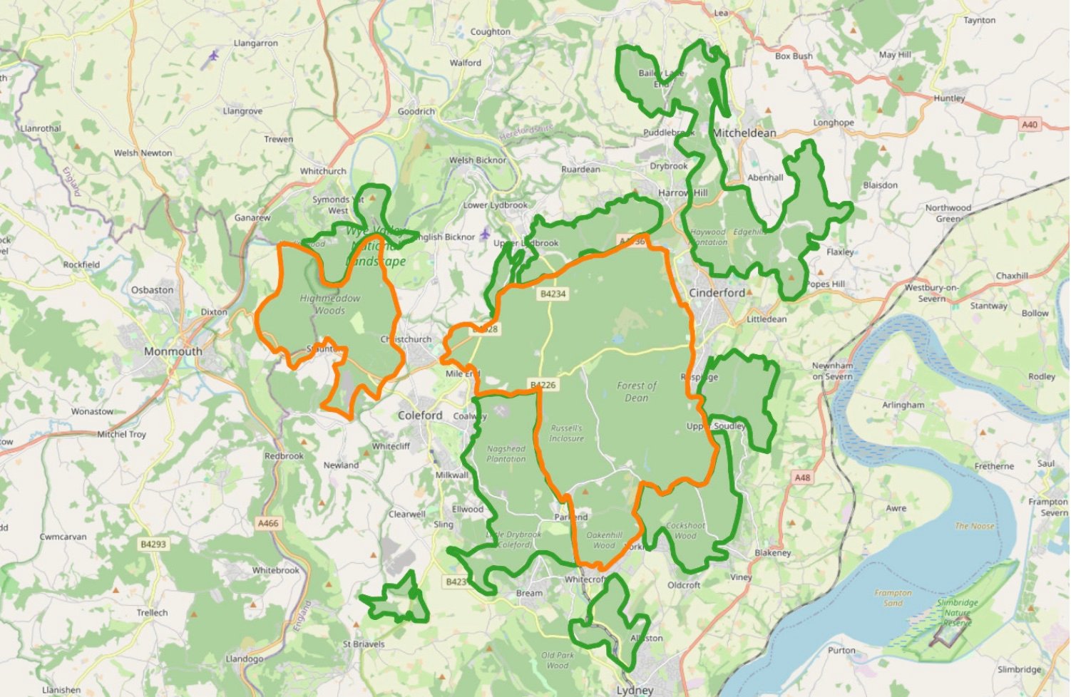 Number of wild boar remains stable | theforester.co.uk