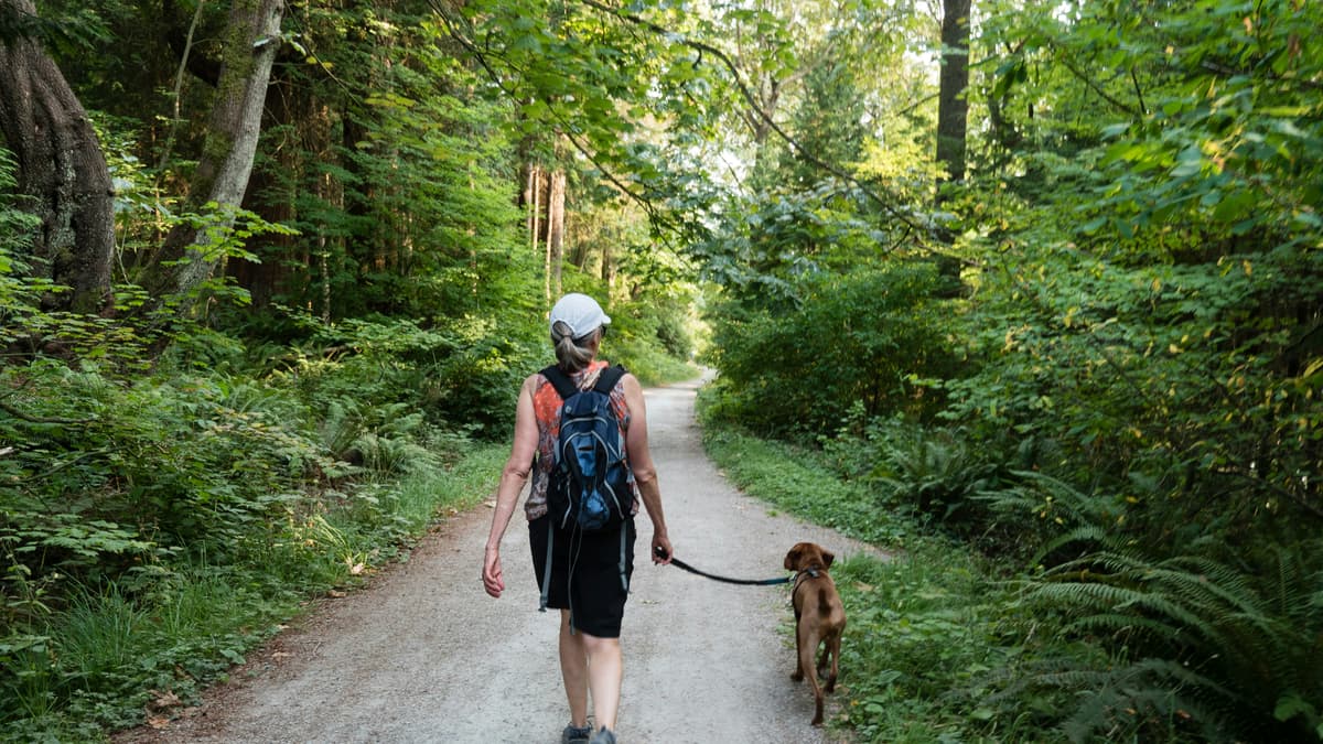 Gloucestershire leads in dog-walking friendly trails | theforester.co.uk