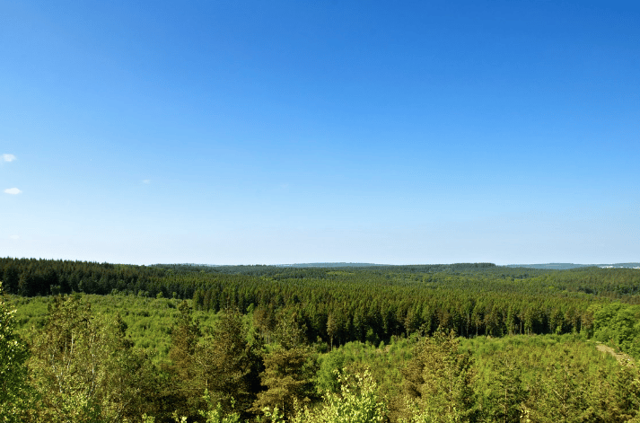 Forest of Dean's Symonds Yat Rock and New Fancy among England's best ...