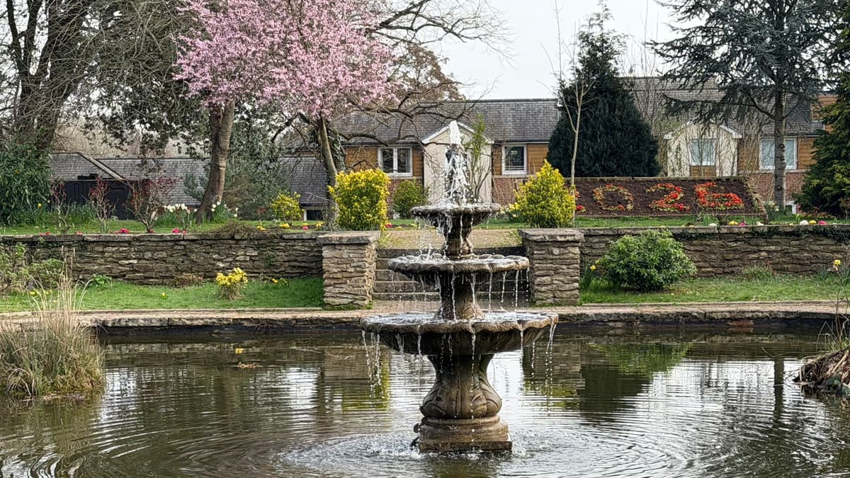 Lydney's Bathurst Park Blooms as Spring Arrives | theforester.co.uk