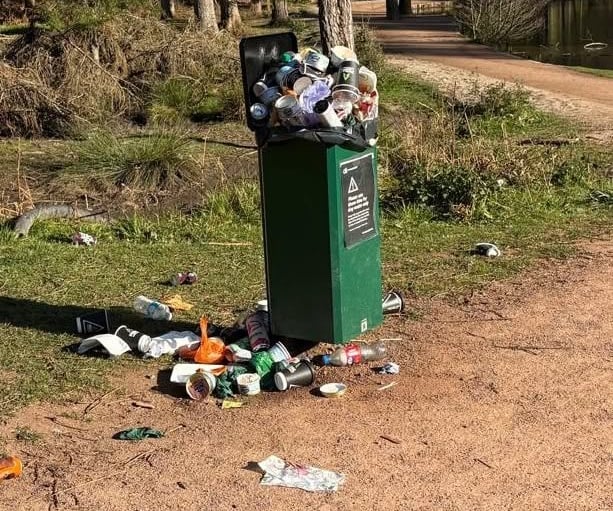 Forestry England urges residents to use dog poo bins correctly ...